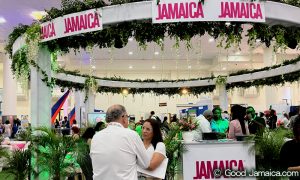 JAPEX FAMILIARIZATION TOURS 2023 | イイね！ジャマイカ